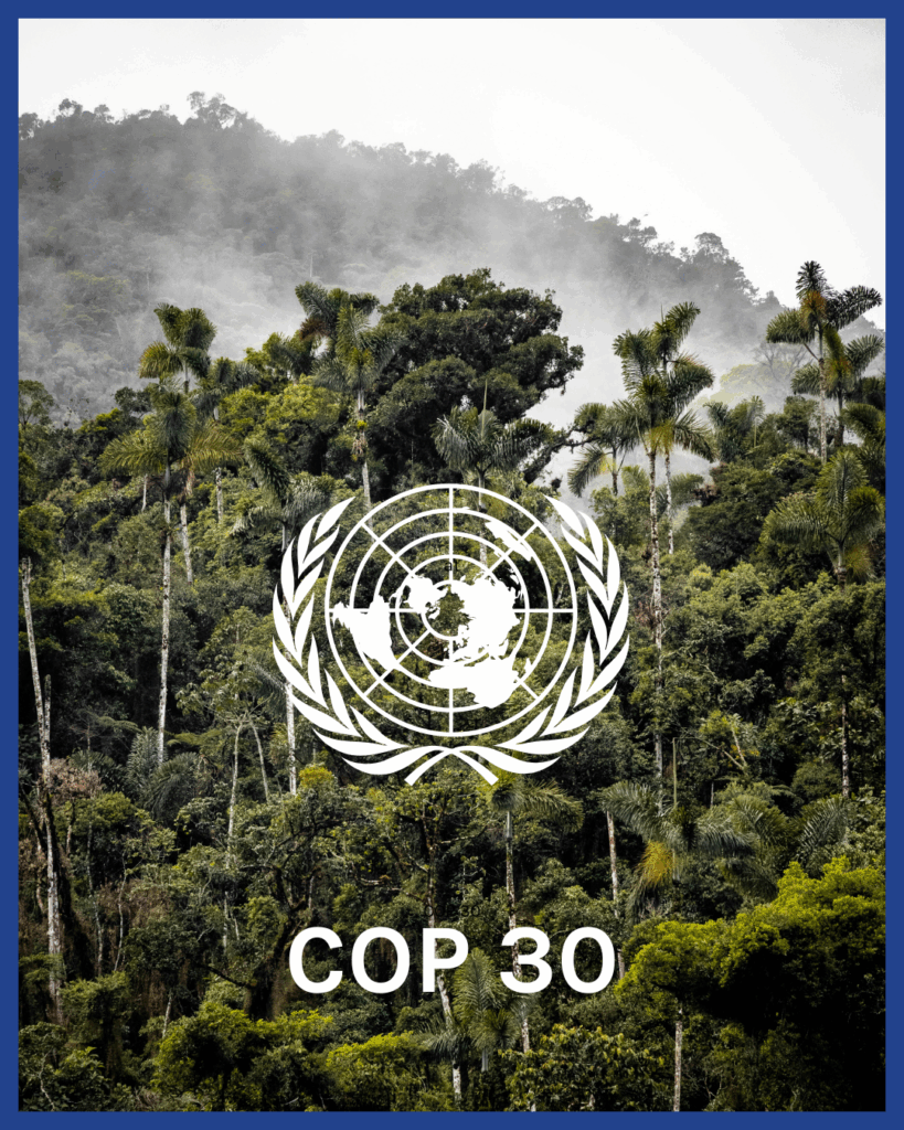 COP 30 : Une avancée importante – le BAM - Durabilitas